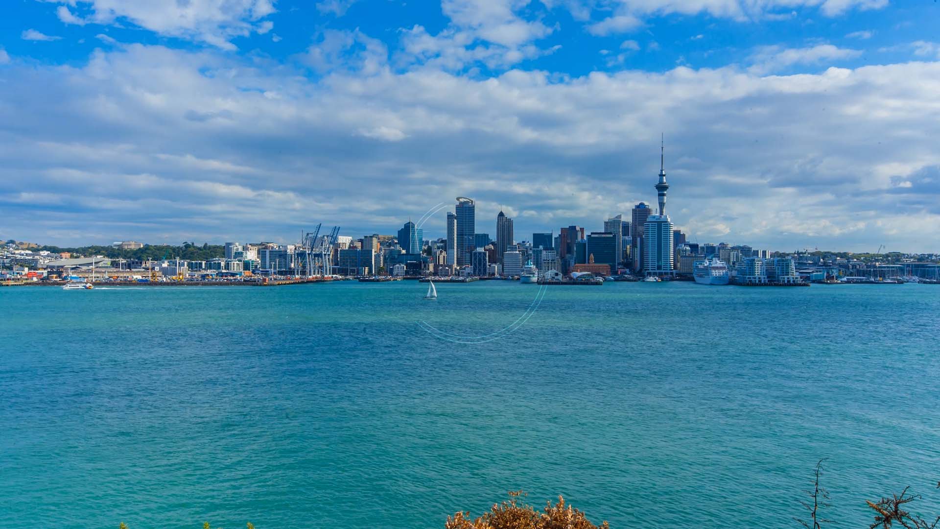 Video Production Company Auckland | Company Videographers NZ | Mint Video